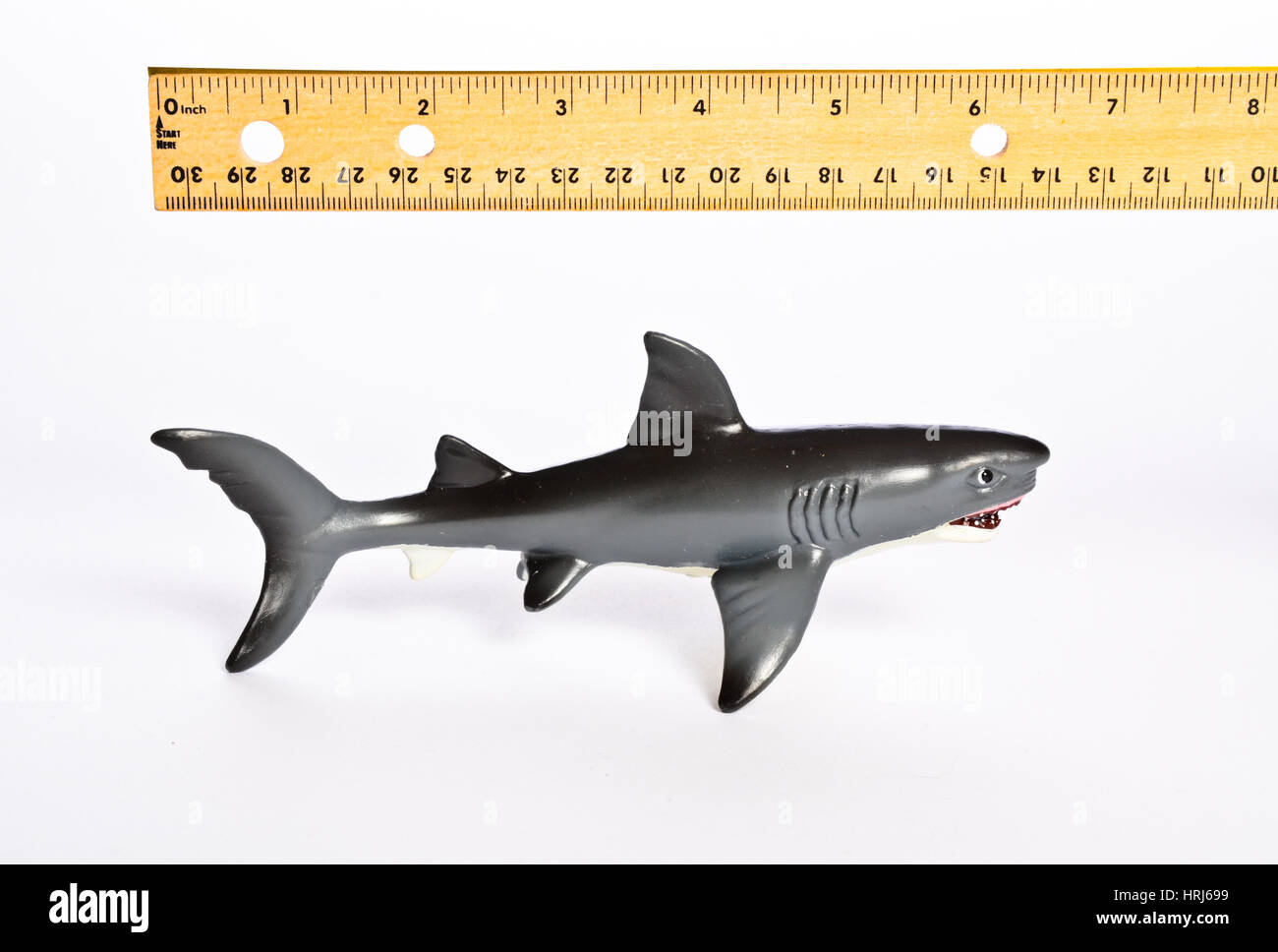 Length of wood hi-res stock photography and images - Alamy