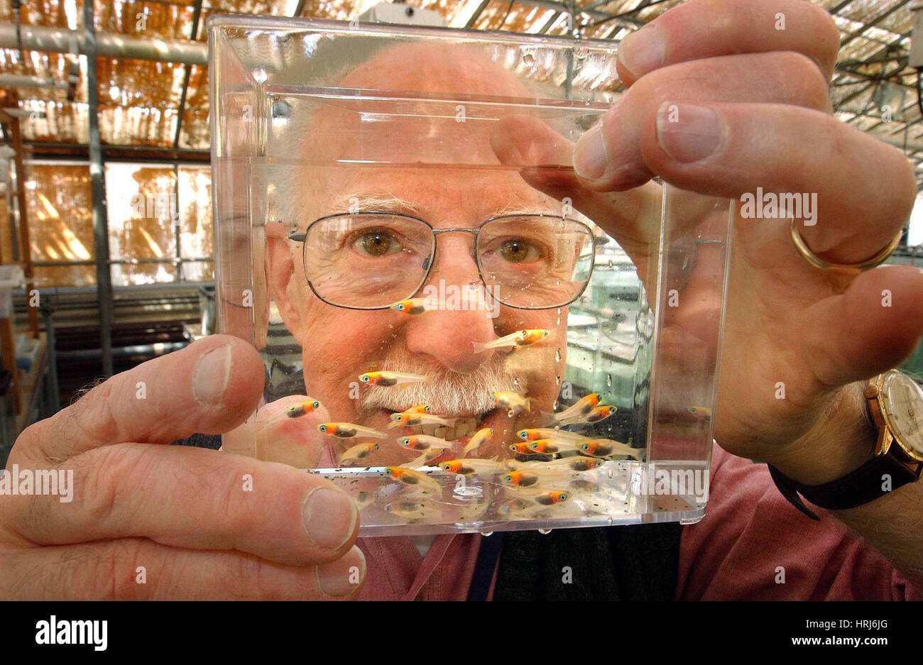 Fish skin cancer hi-res stock photography and images - Alamy