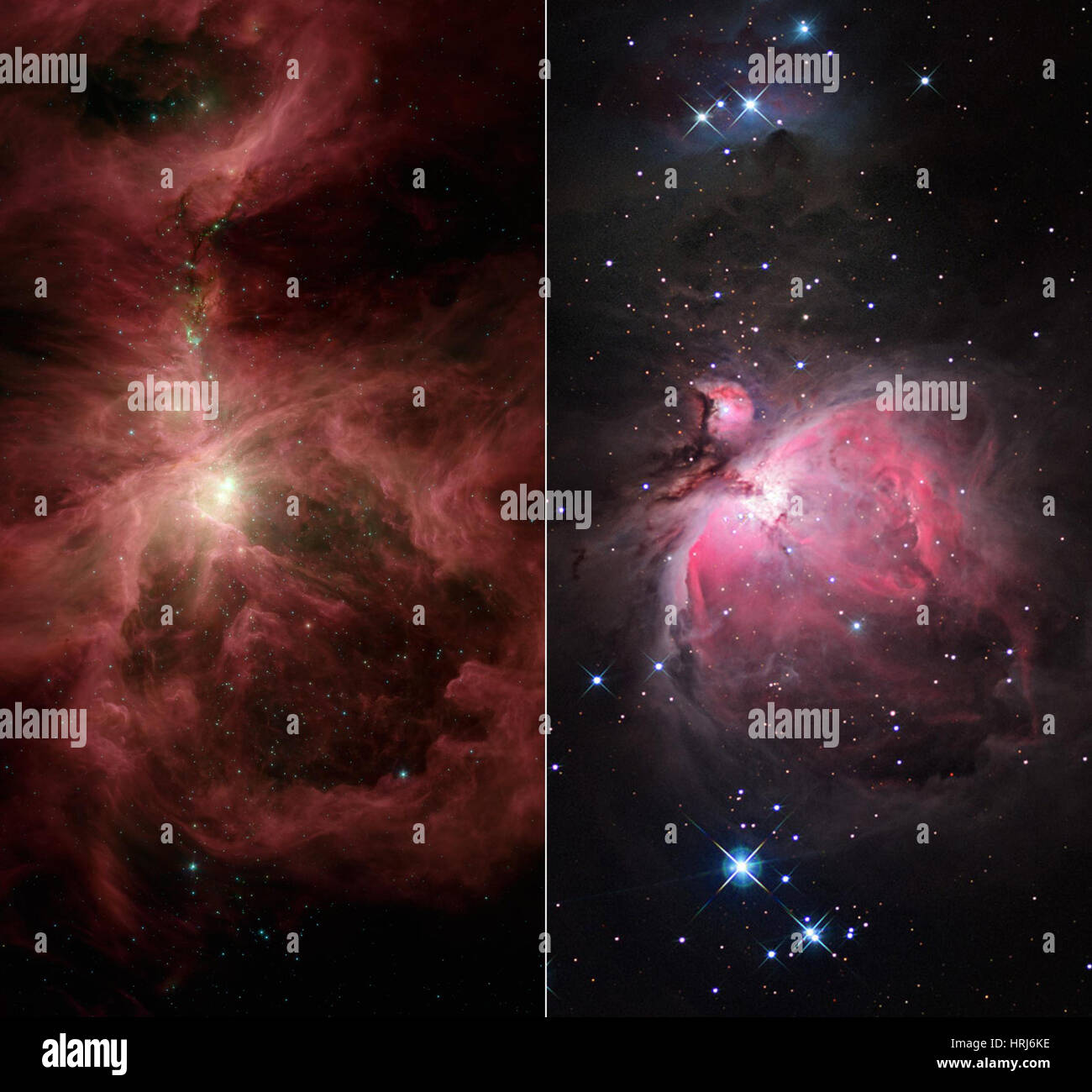 Orion Nebula, M42, NGC 1976 Stock Photo - Alamy