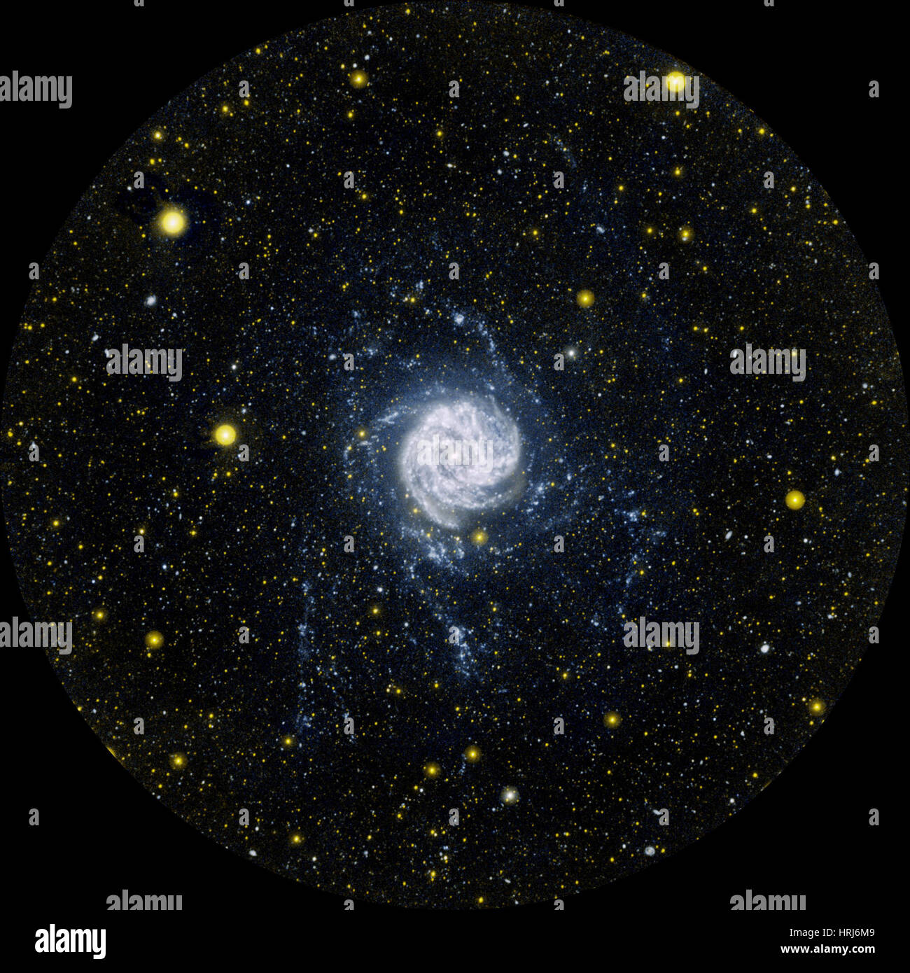M83, NGC 5236, Southern Pinwheel Galaxy Stock Photo - Alamy