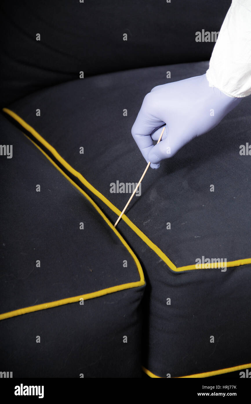 Crime forensics protective clothing hi-res stock photography and images ...