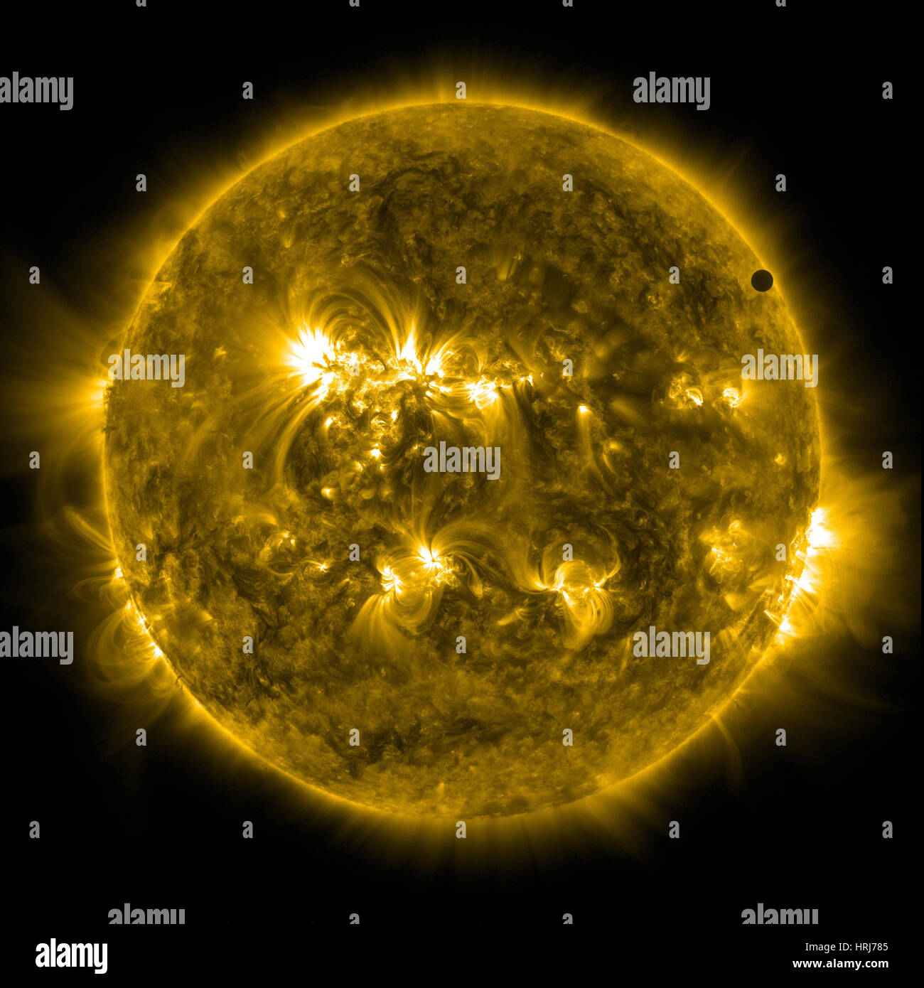 The transit venus hi-res stock photography and images - Alamy