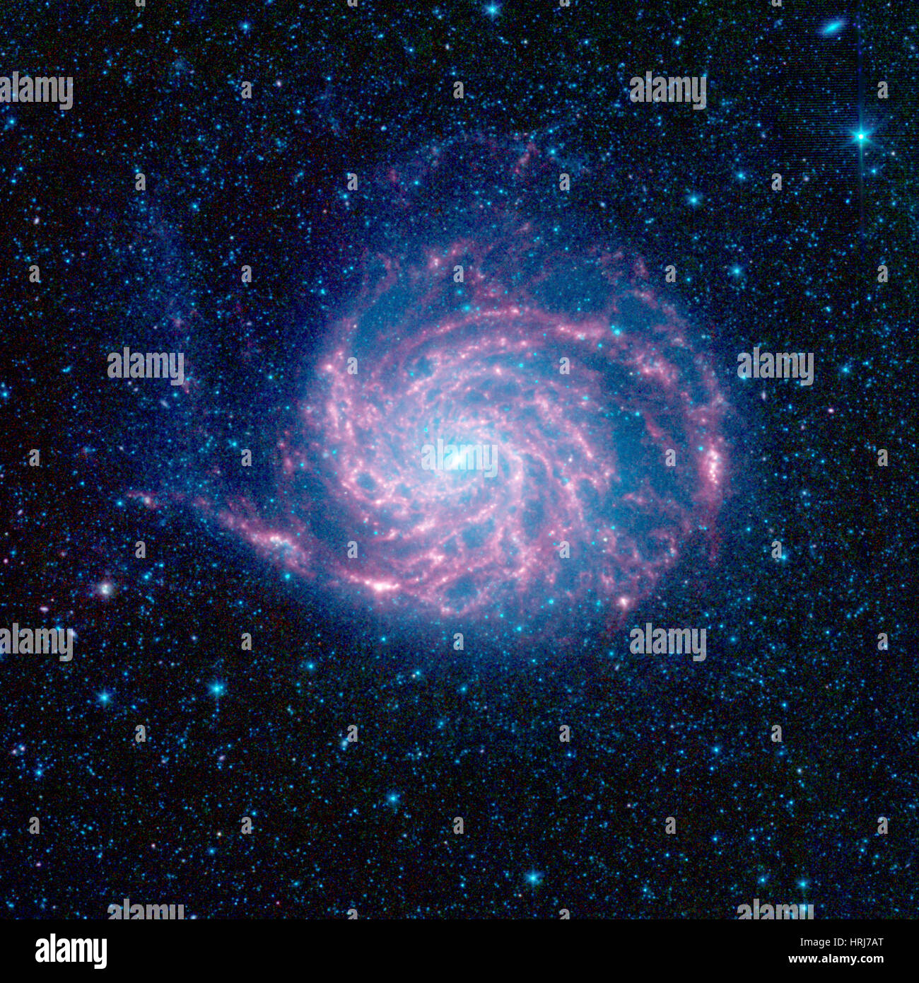 Pinwheel Galaxy