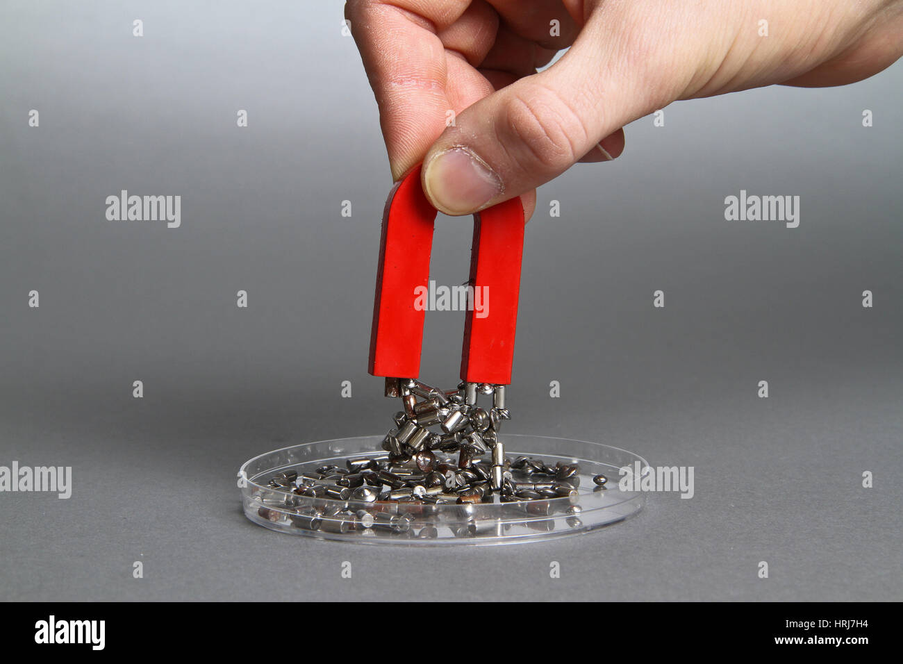 Test for magnetic properties Stock Photo - Alamy