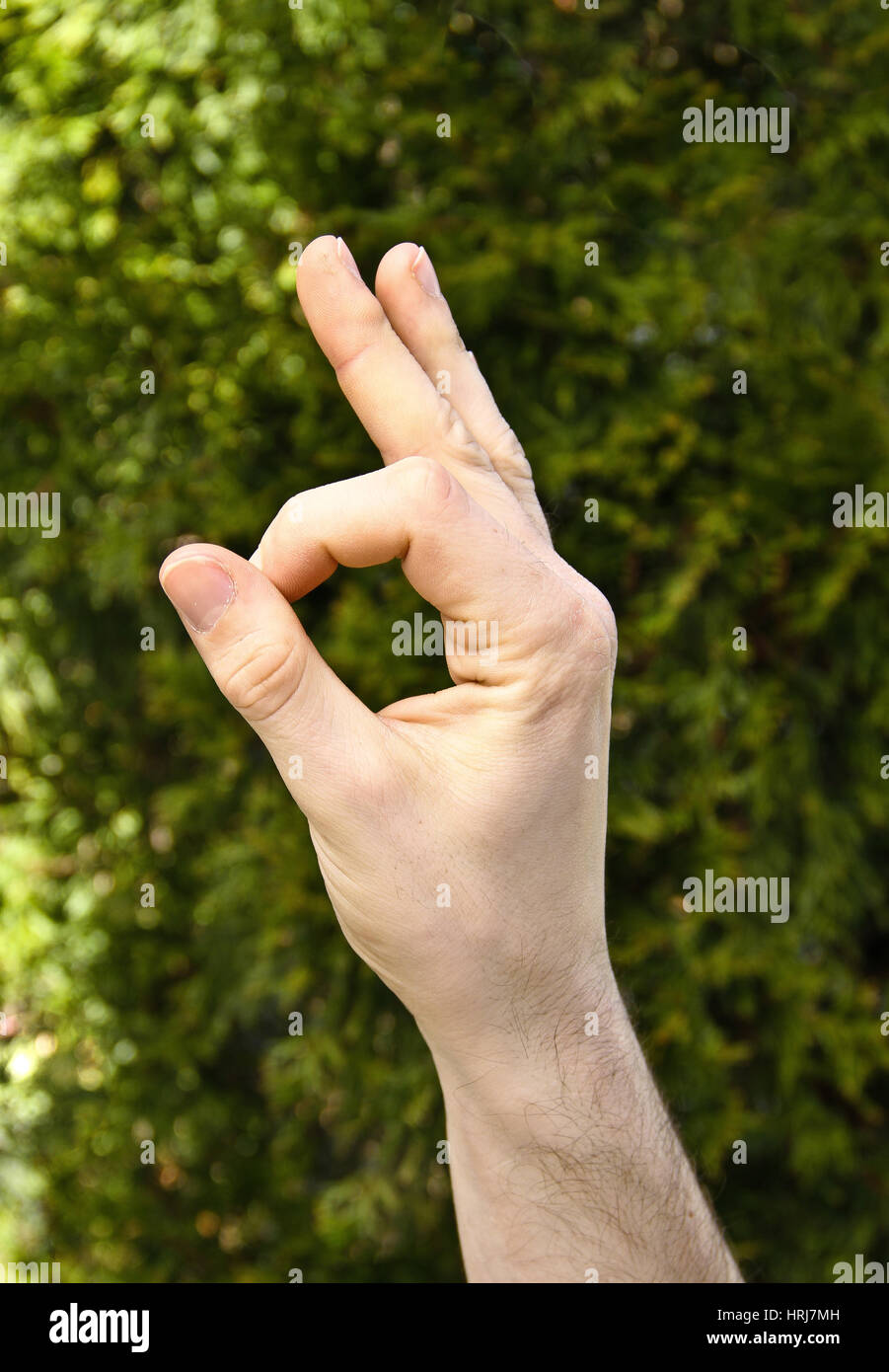 Positive Hand Gesture Stock Photo - Alamy