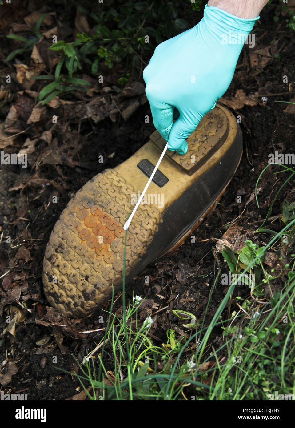 Forensic traces hi-res stock photography and images - Alamy