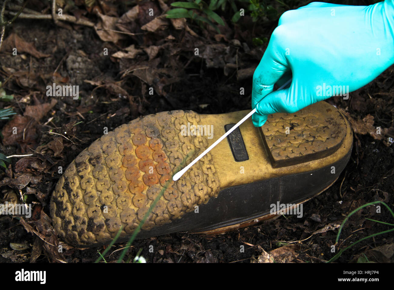 Swabbing blood forensic hi-res stock photography and images - Alamy
