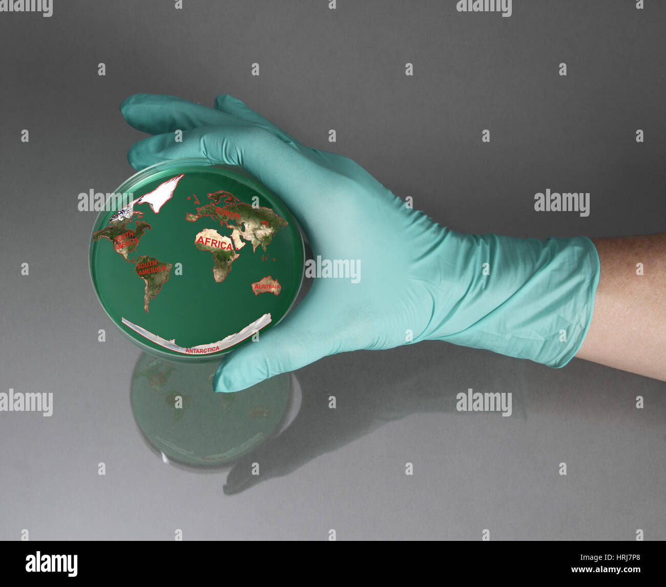 World Inside a Petri Dish Stock Photo - Alamy