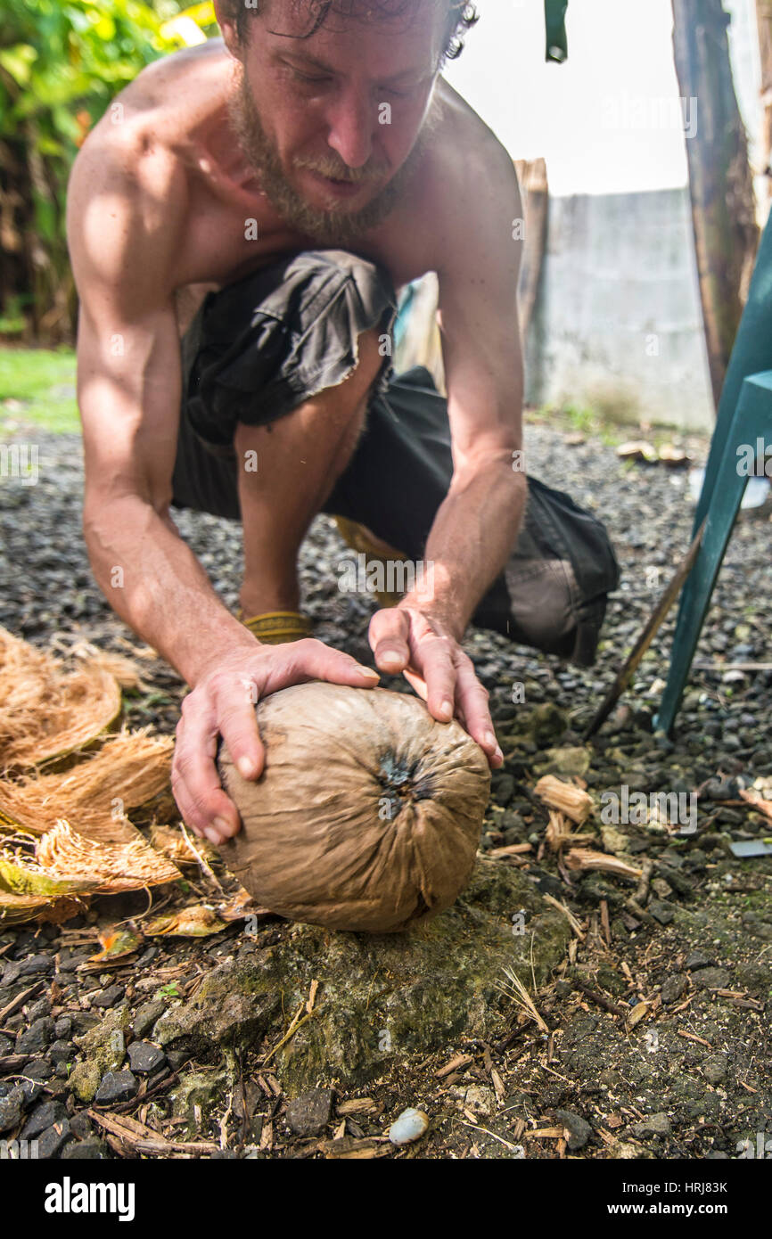 opening a coconut Stock Photo - Alamy