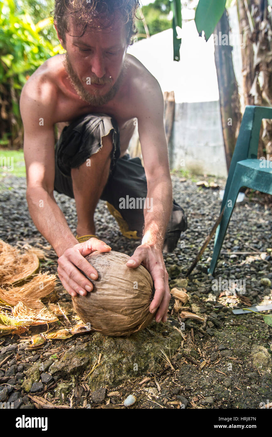 opening a coconut Stock Photo - Alamy
