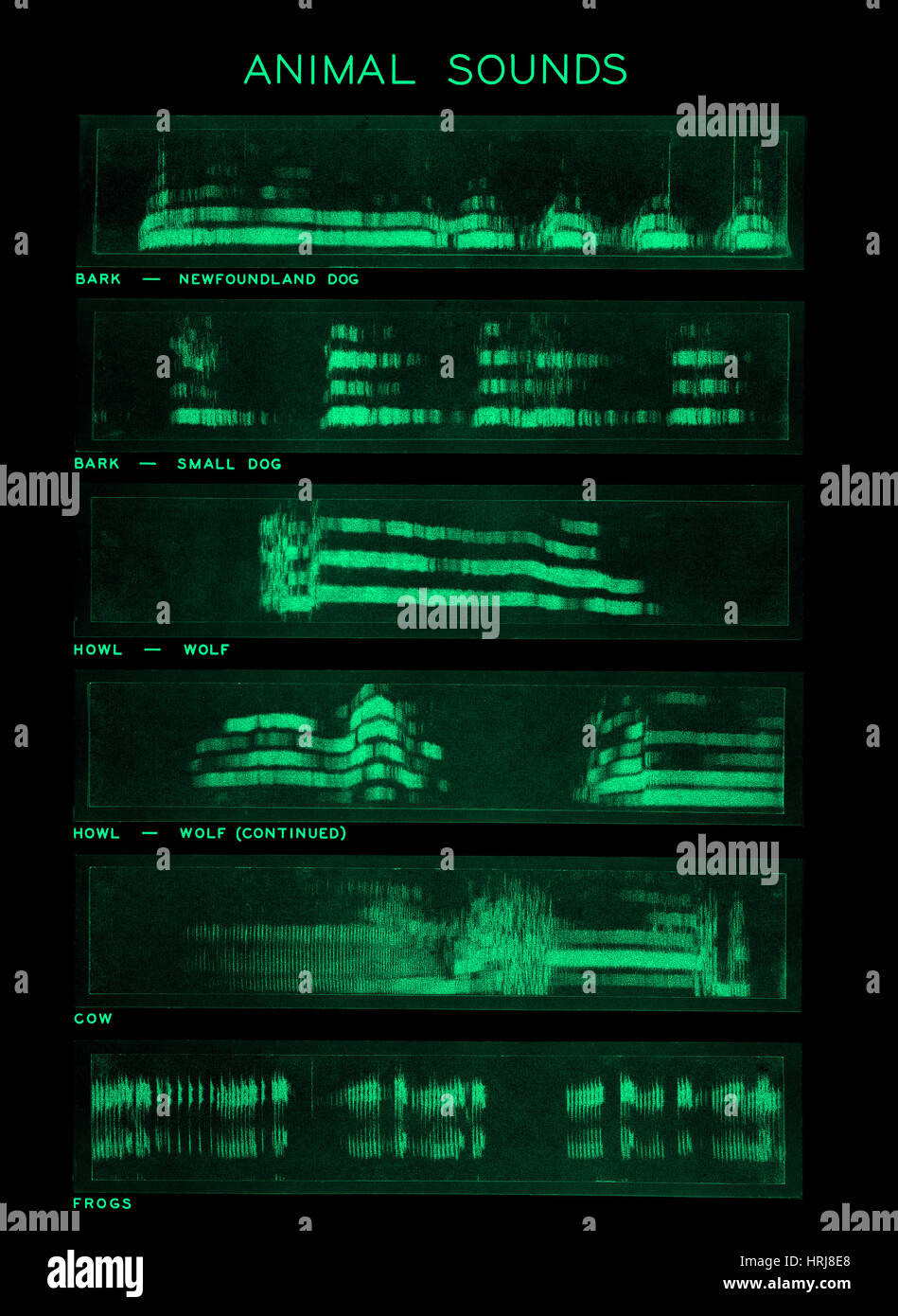 Phonetic sounds hi-res stock photography and images - Alamy