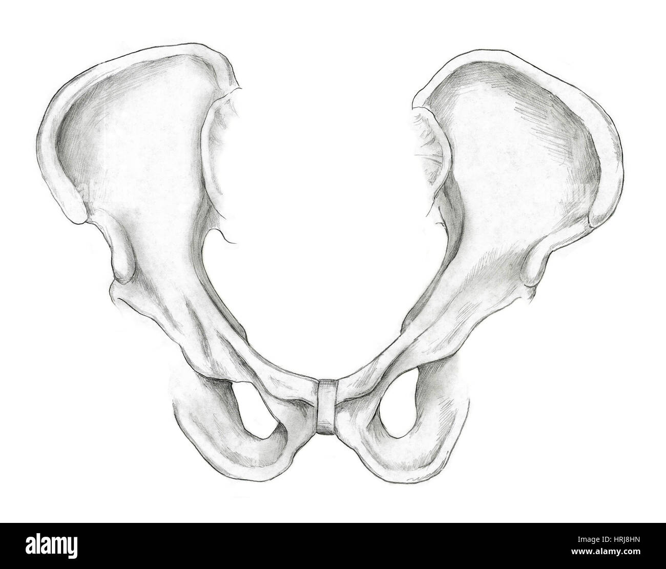 Drawing illustration hi-res stock photography and images - Alamy