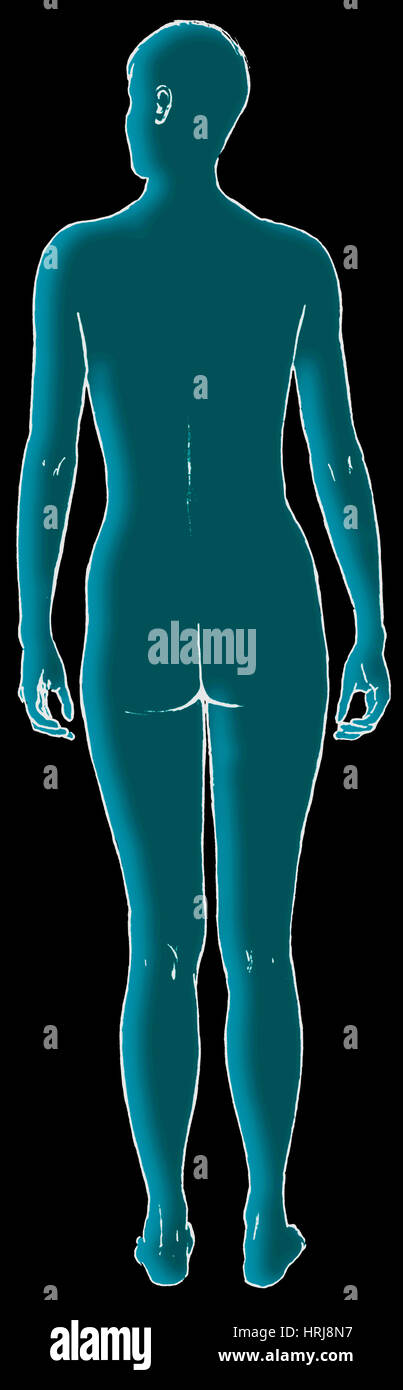 Female, Full Posterior View Stock Photo - Alamy