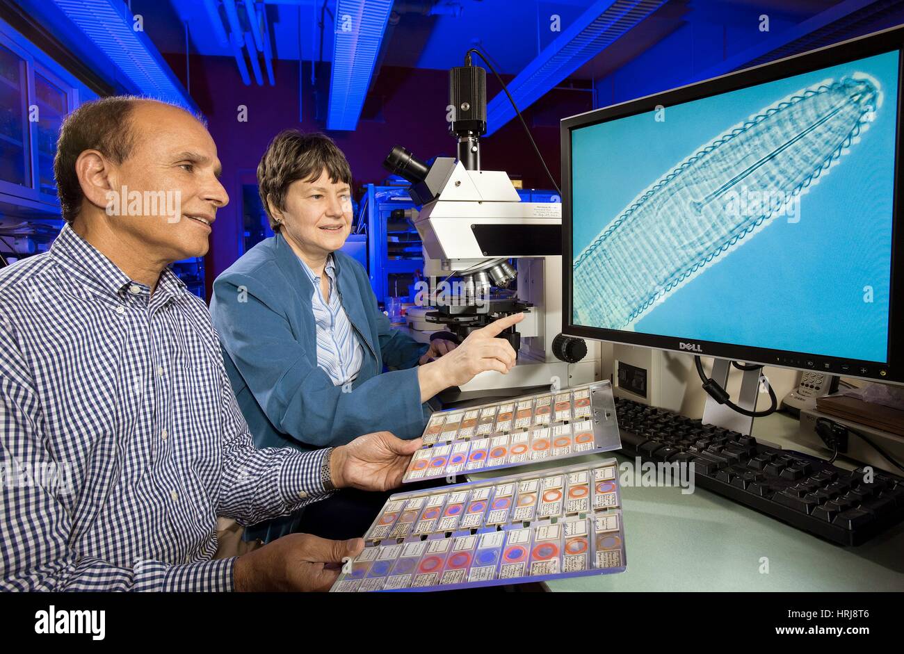 Nematode identification hi-res stock photography and images - Alamy
