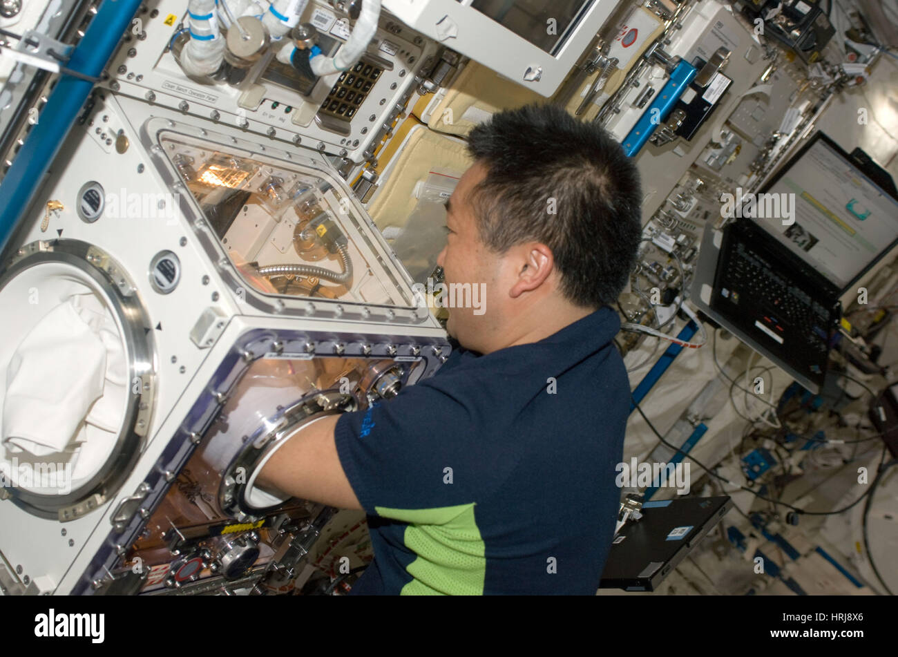 Saibo biological experiment rack hi-res stock photography and images ...