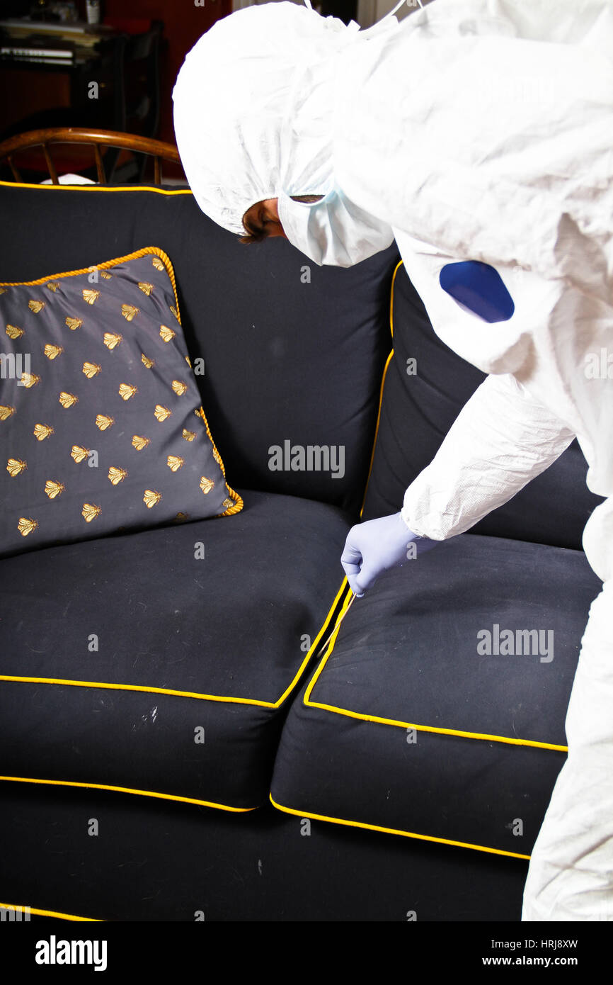 Investigation criminal hi-res stock photography and images - Alamy