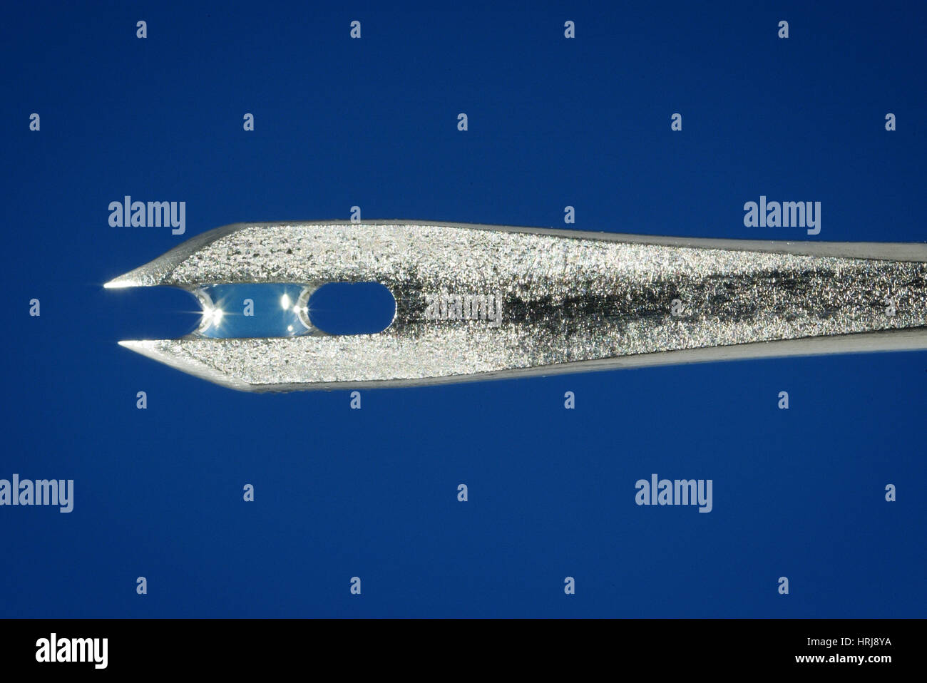 Bifurcated Needle for Smallpox Vaccination Stock Photo - Alamy