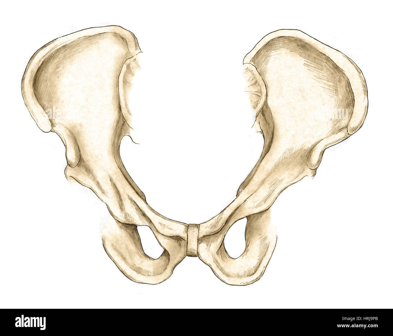 Drawing illustration hi-res stock photography and images - Alamy