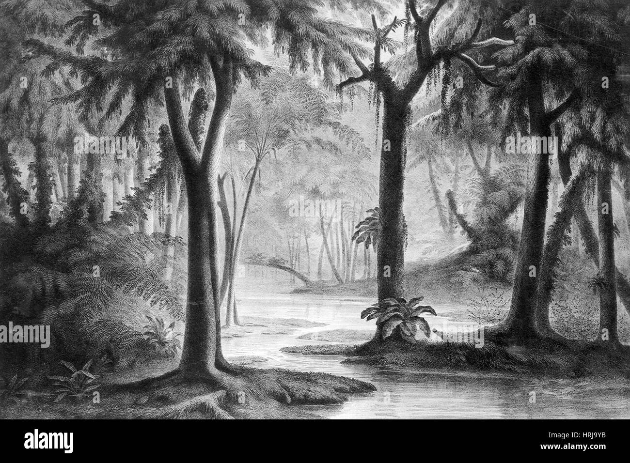 Prehistoric, Carboniferous Landscape Stock Photo - Alamy