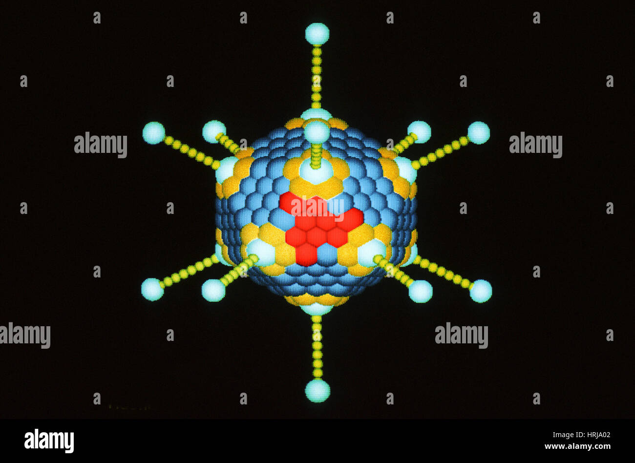 Adenovirus model hi-res stock photography and images - Alamy