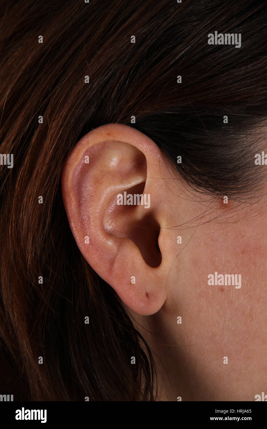 Ear auricle hi-res stock photography and images - Alamy