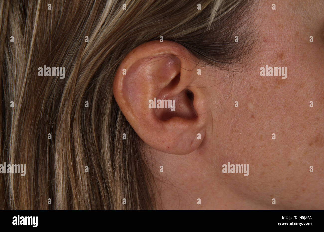 Anatomical part of the outer ear hi-res stock photography and images ...