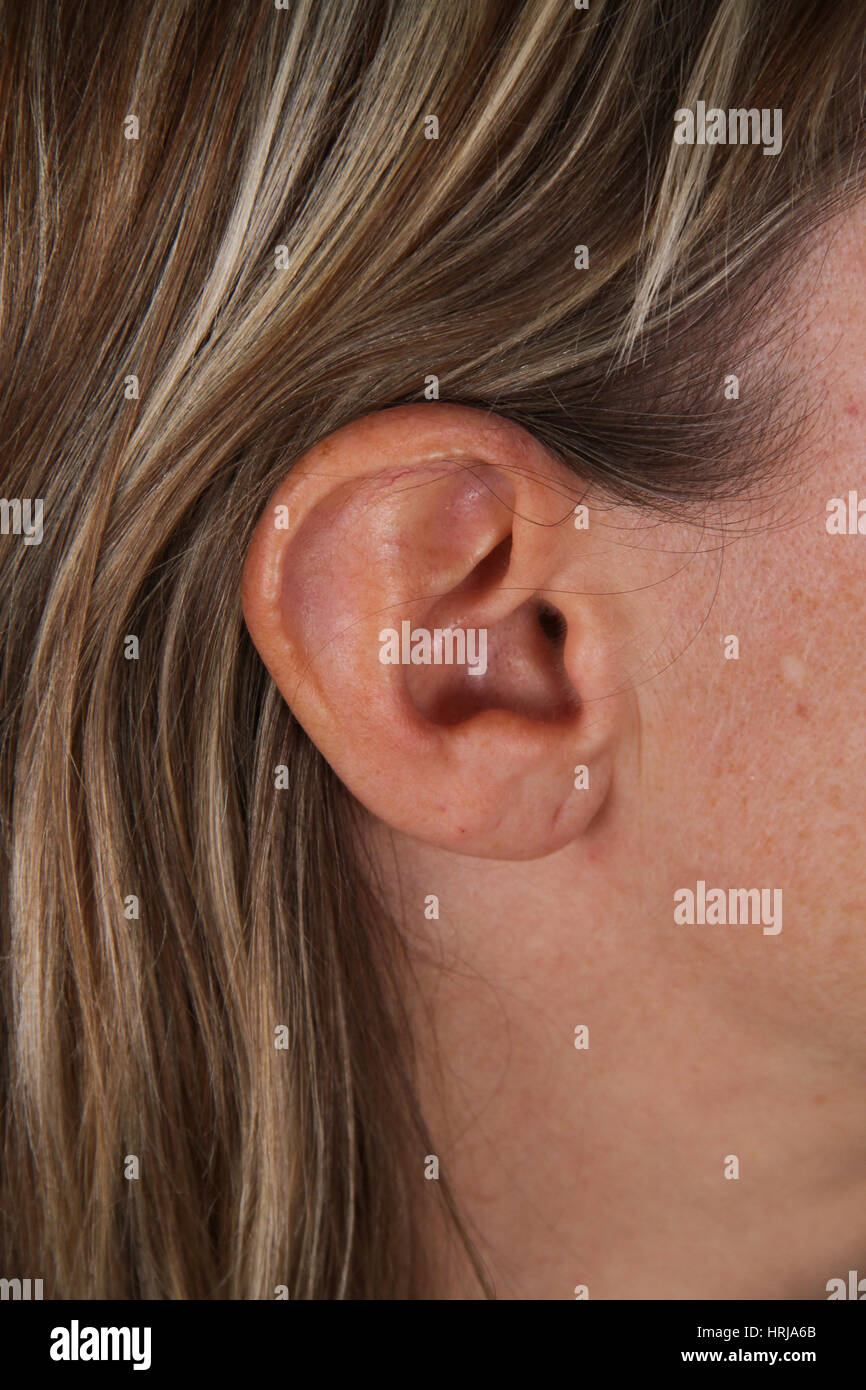 The normal hear hi-res stock photography and images - Alamy