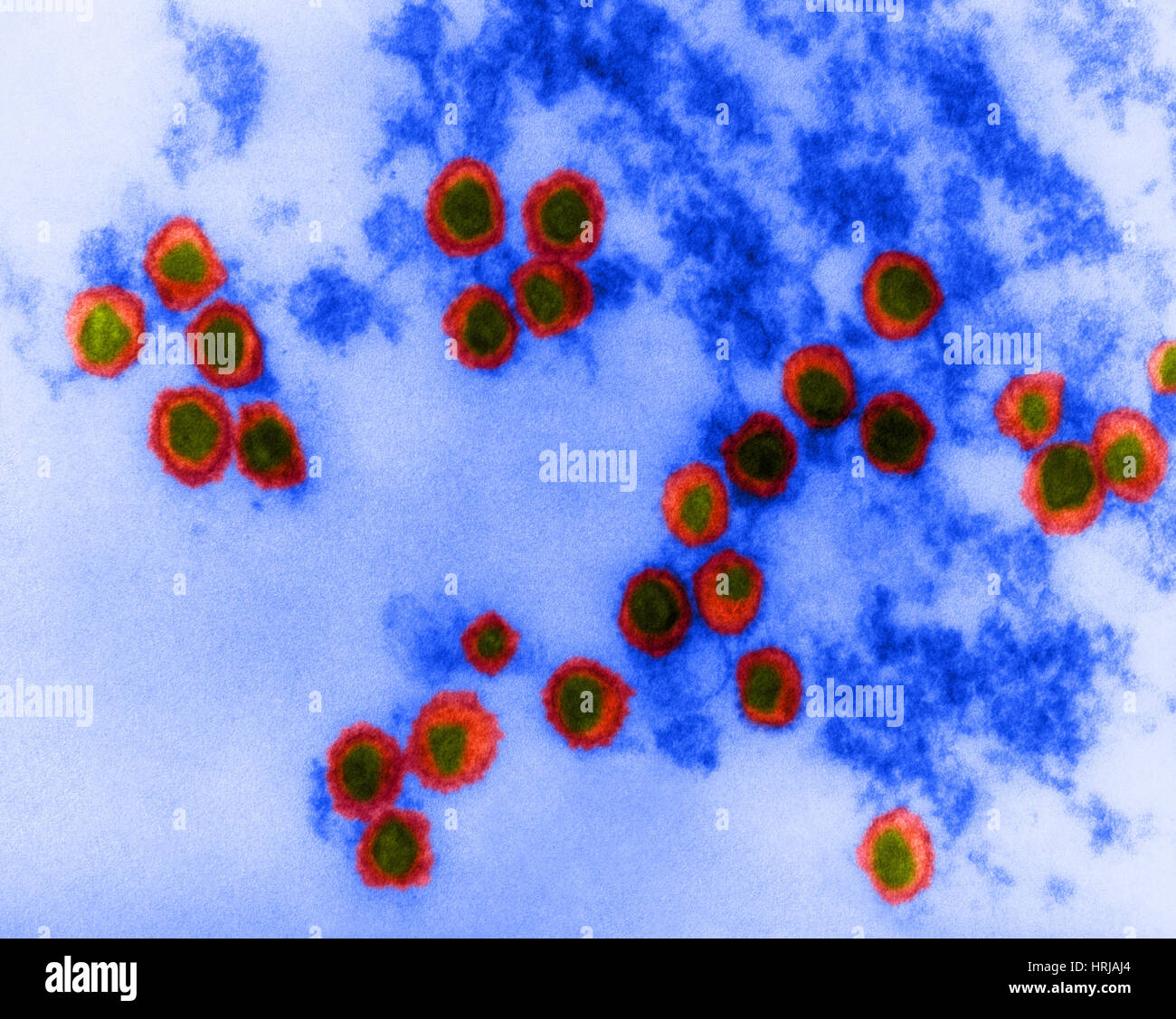 Rauscher hi-res stock photography and images - Alamy