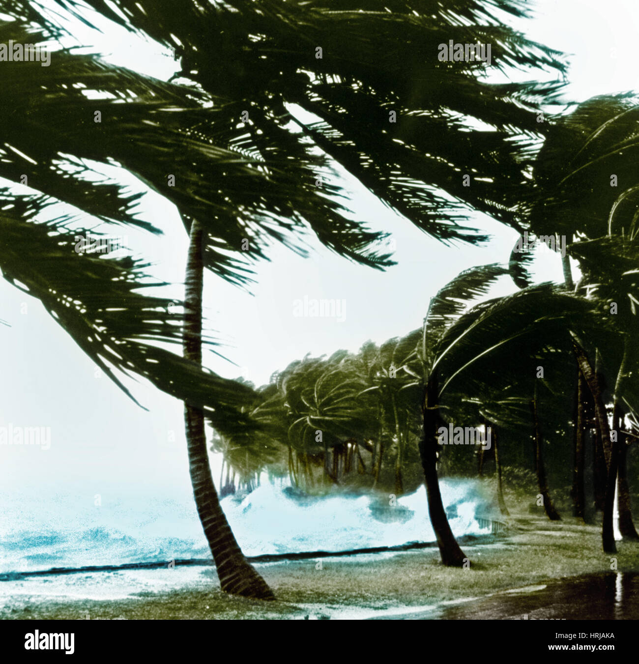 Hurricane Waves High Resolution Stock Photography and Images - Alamy