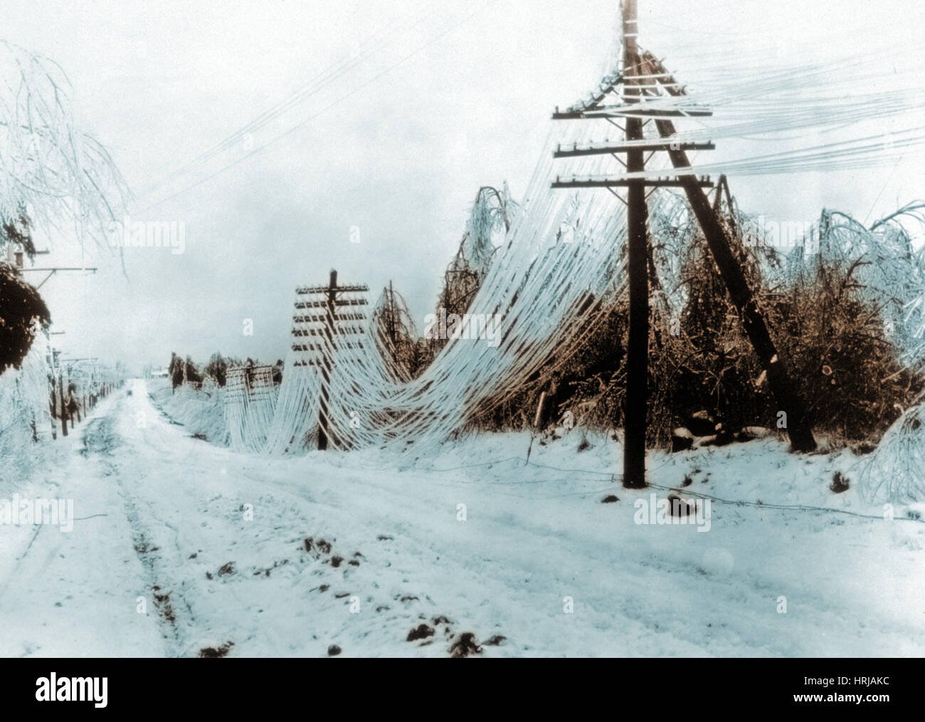 Ice On Telephone Lines Stock Photo - Alamy