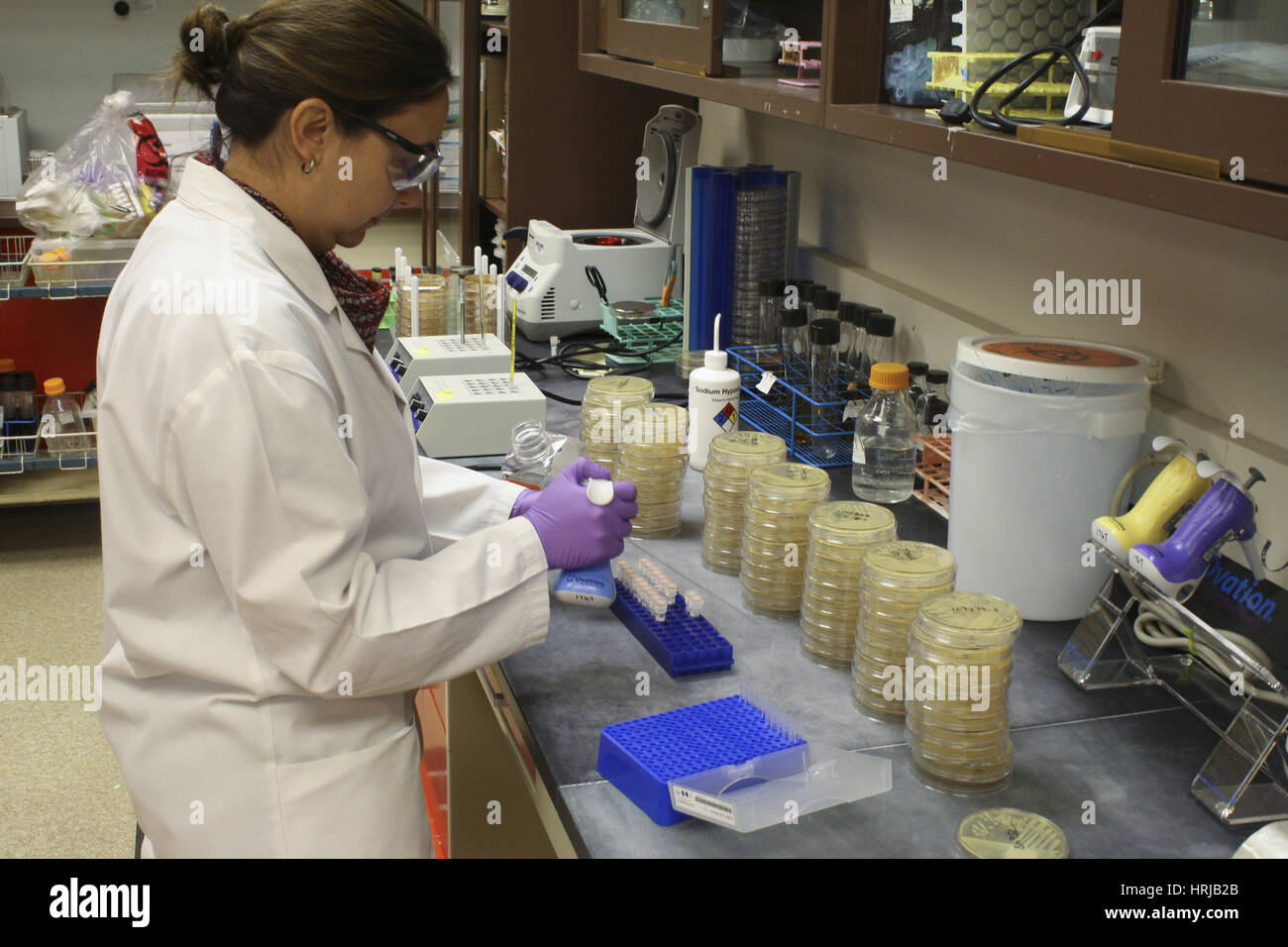 Testing for salmonella hi-res stock photography and images - Alamy