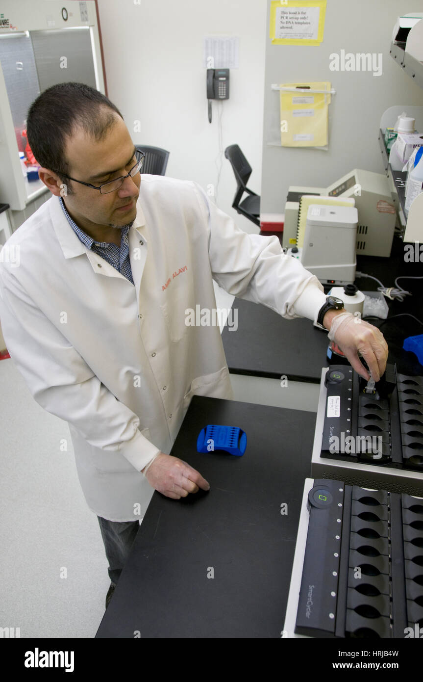 FDA Microbiologist Tests for Pathogens Stock Photo - Alamy