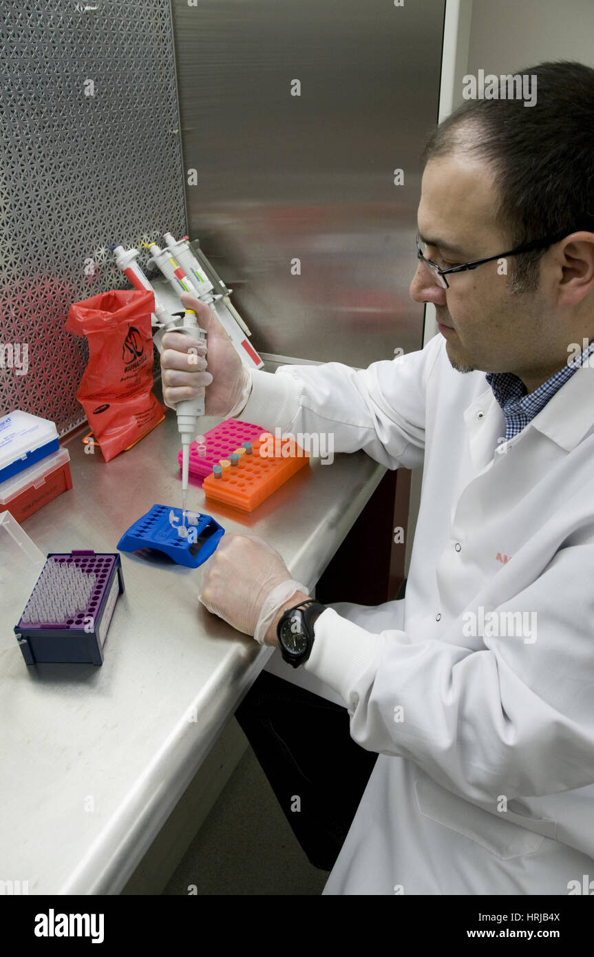 Pathogens test hi-res stock photography and images - Alamy