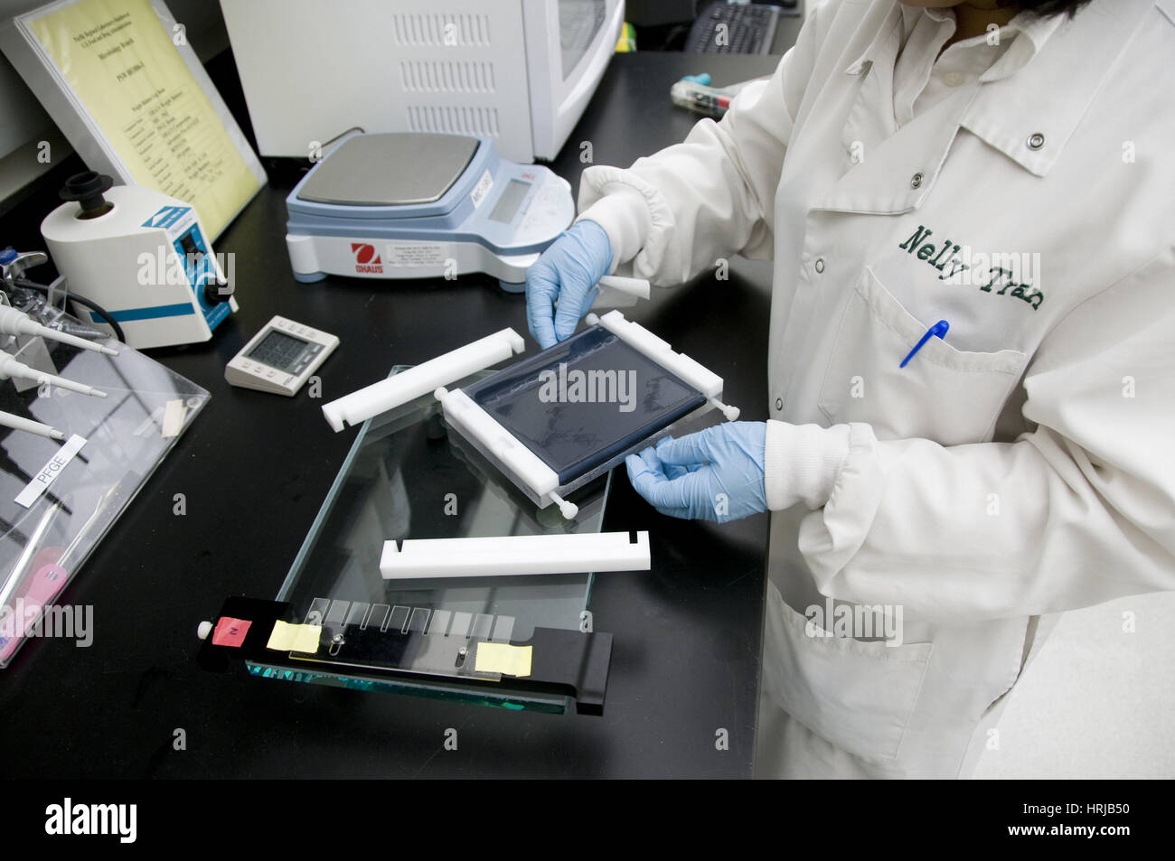 FDA Microbiologist Tests for Pathogens Stock Photo - Alamy