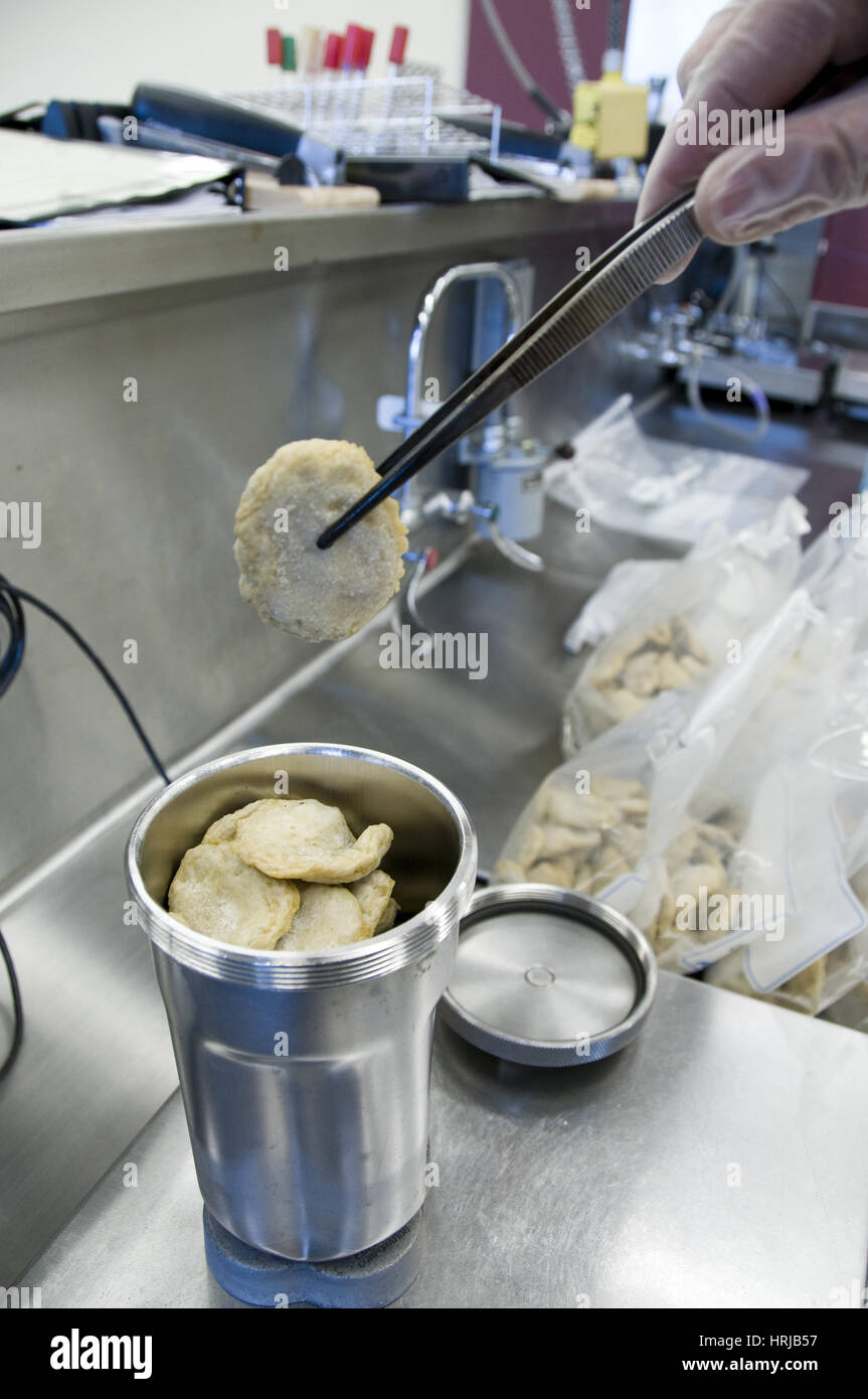 FDA Microbiologist Tests for Microorganisms Stock Photo - Alamy