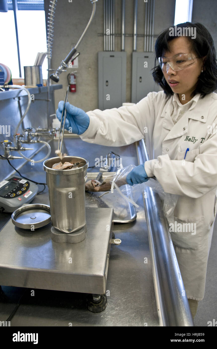 Testing for microorganisms hi-res stock photography and images - Alamy