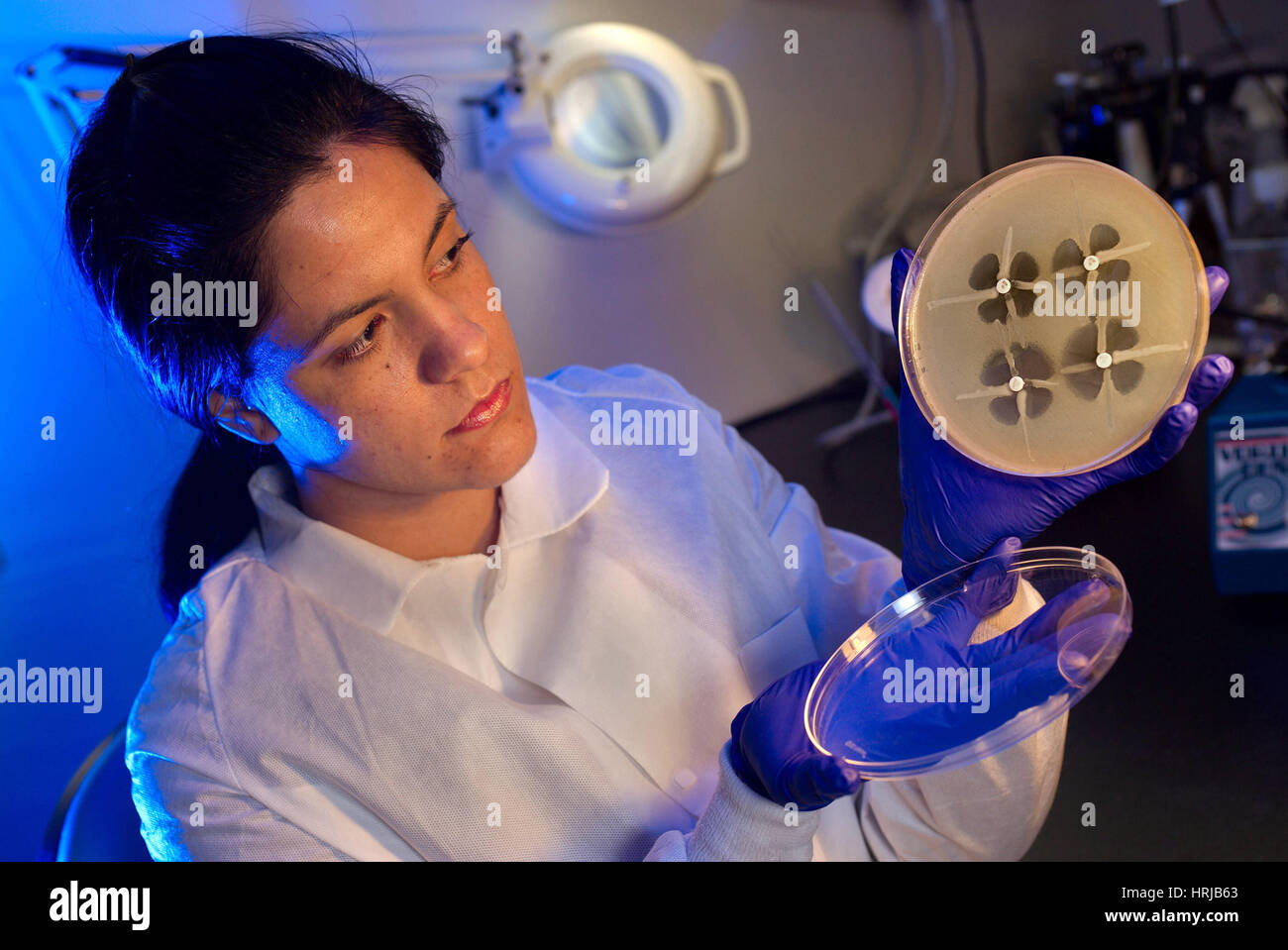 Cre bacteria hi-res stock photography and images - Alamy