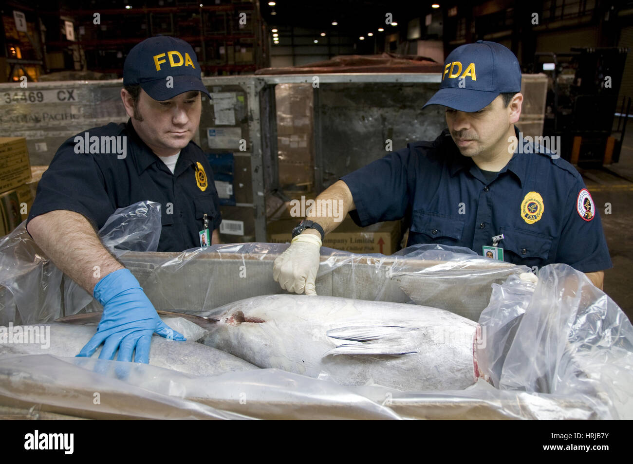 FDA Field Inspectors, Imported Seafood Stock Photo - Alamy