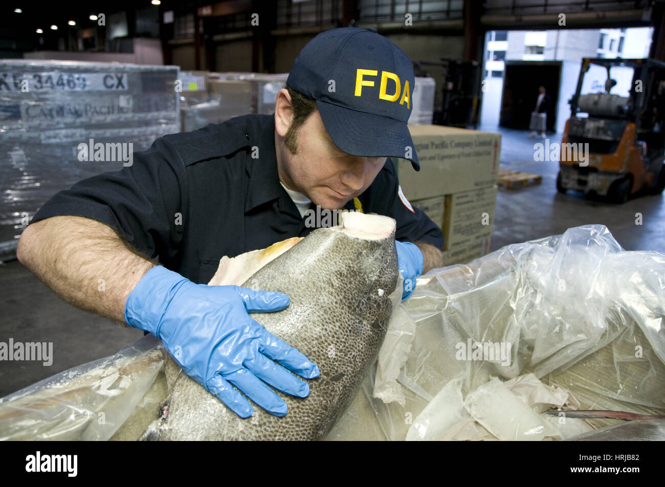 FDA Field Inspector, Imported Seafood Stock Photo - Alamy