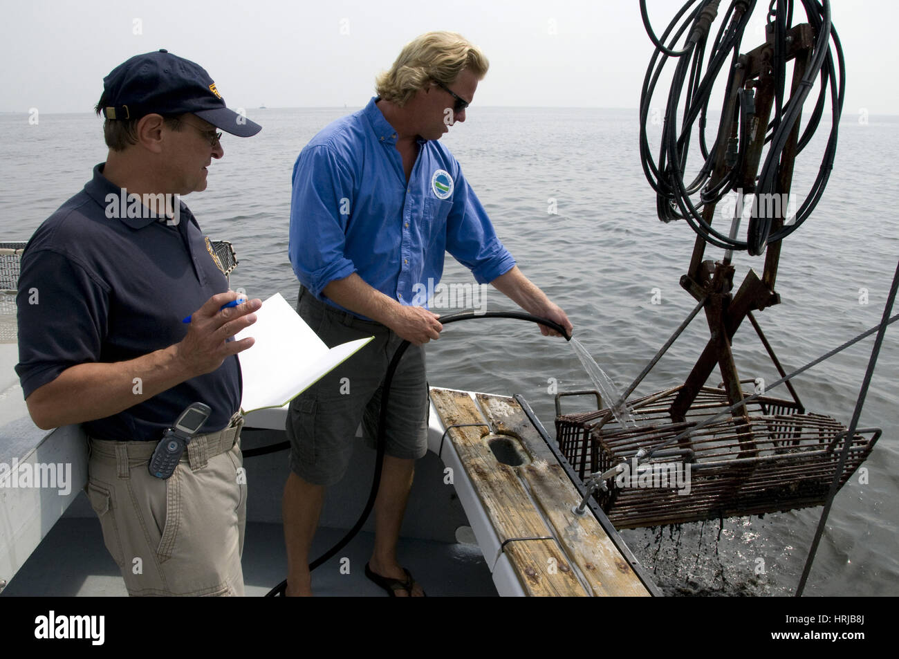 Regulatory specialist hi-res stock photography and images - Alamy