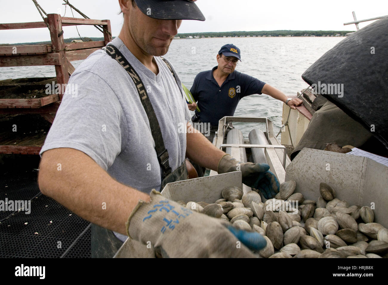 FDA Specialist, Safe Shellfish Stock Photo - Alamy