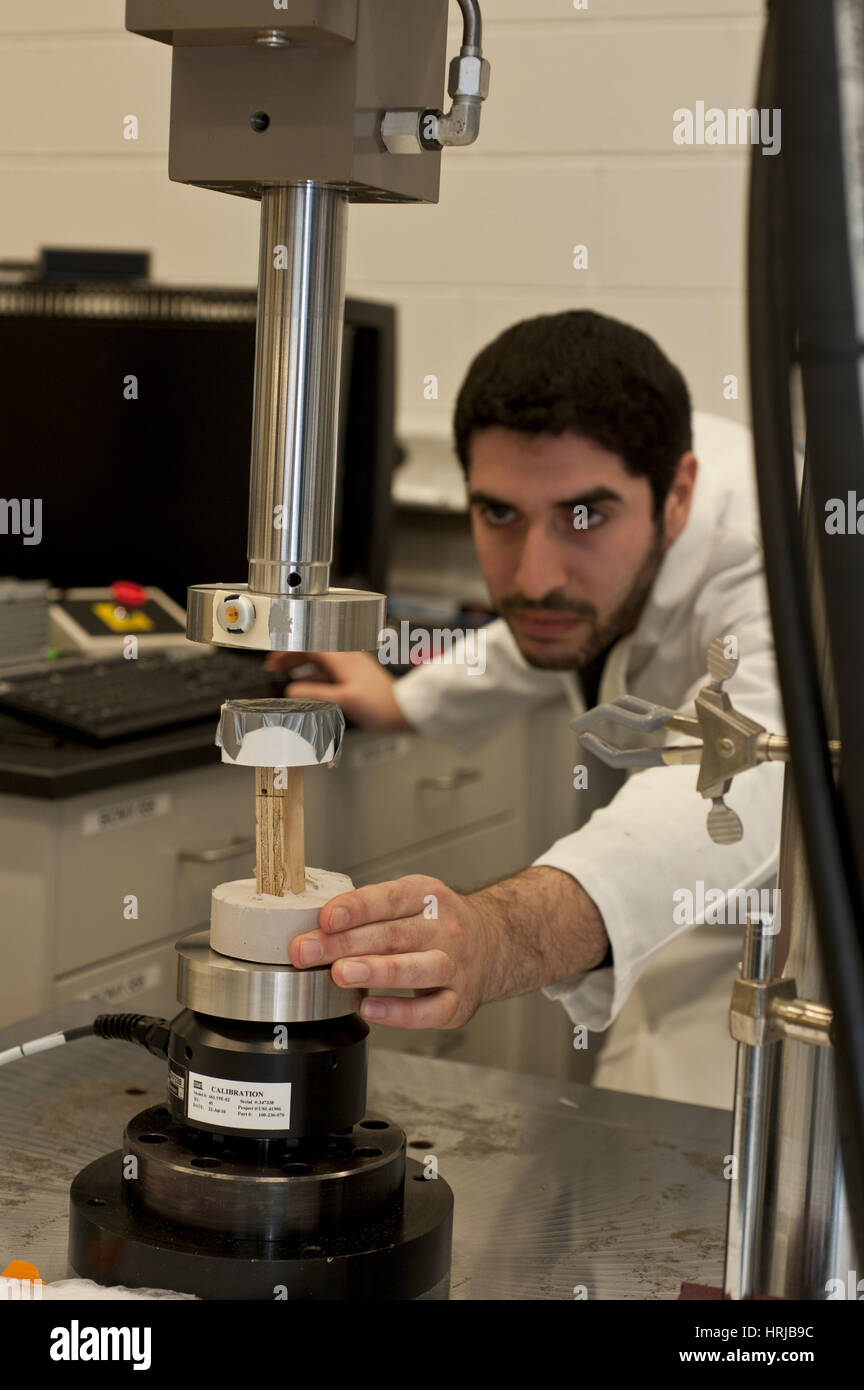 Testing Material Stress on Bone Stock Photo - Alamy