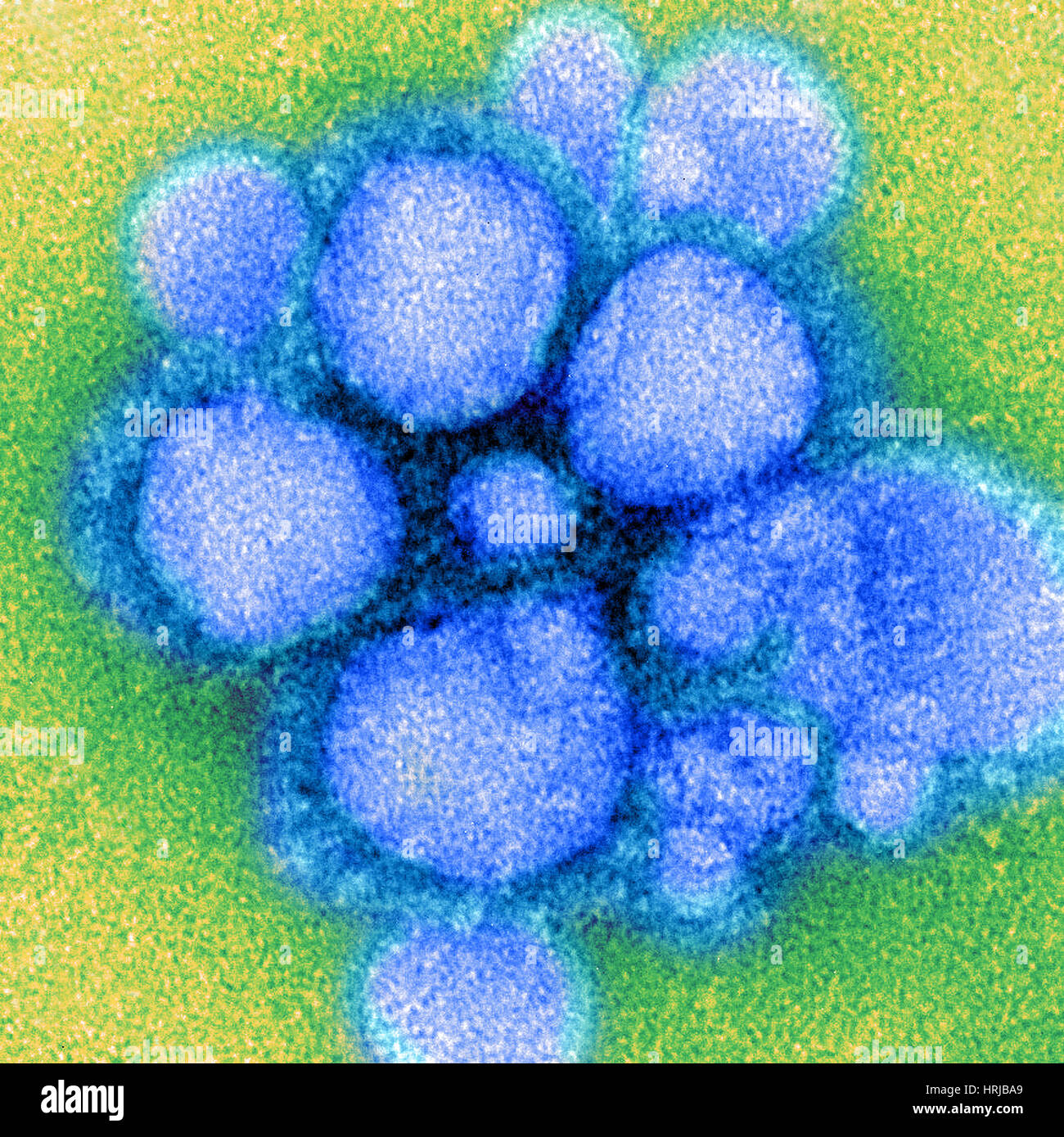 Ncov emc hi-res stock photography and images - Alamy