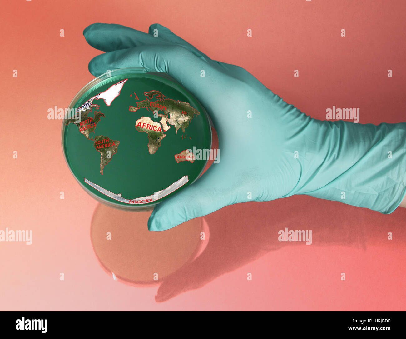 World map in petri dish hi-res stock photography and images - Alamy