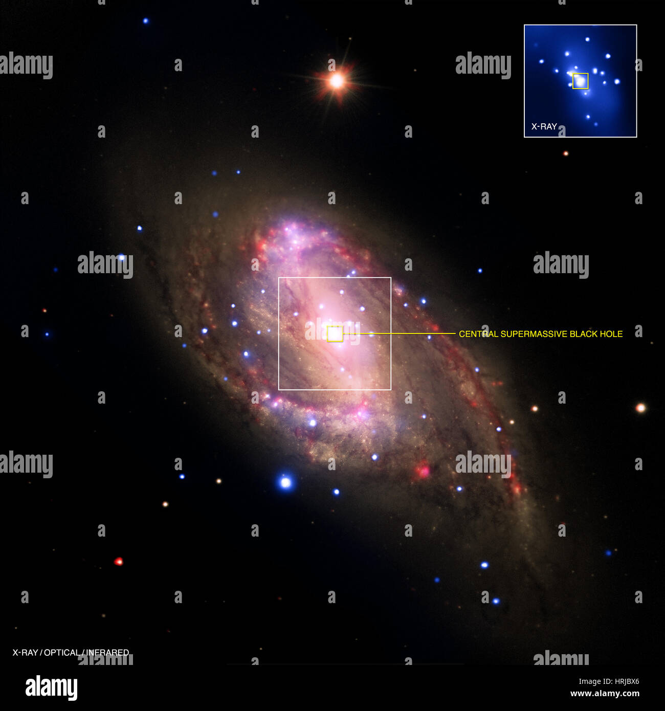 NGC 3627, Spiral Galaxy, Composite Stock Photo - Alamy