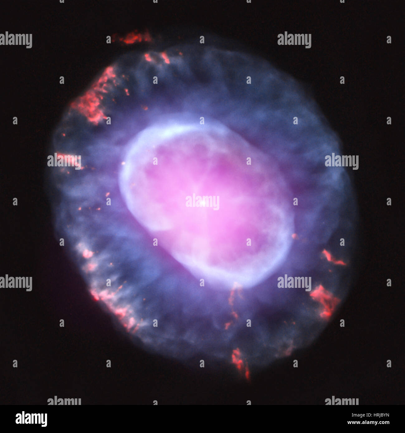 Nebula Ngc 7662 Blue Snowball