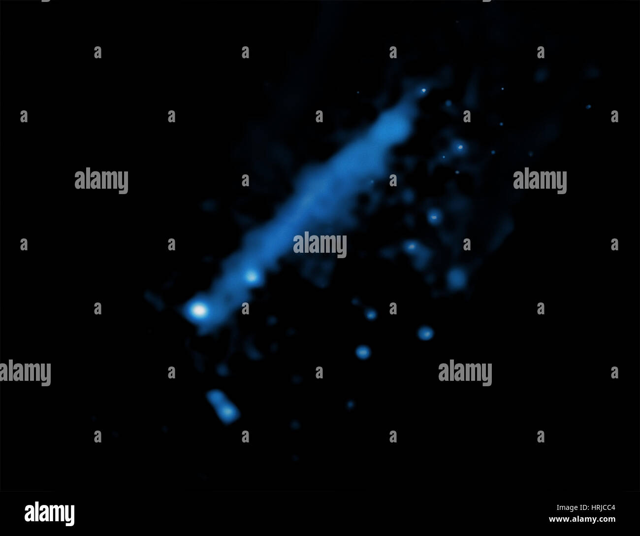 X ray tail hi-res stock photography and images - Alamy