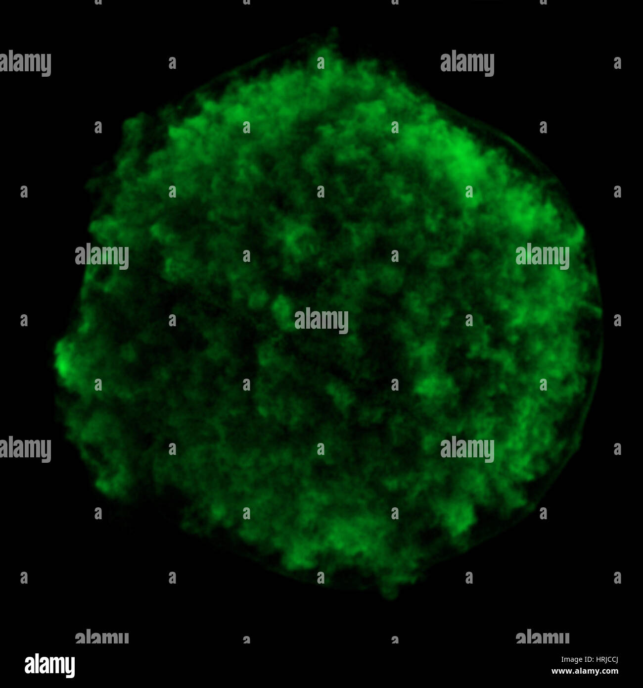Tycho's supernova remnant hi-res stock photography and images - Alamy Tycho's supernova remnant hi-res stock photography and images - Alamy