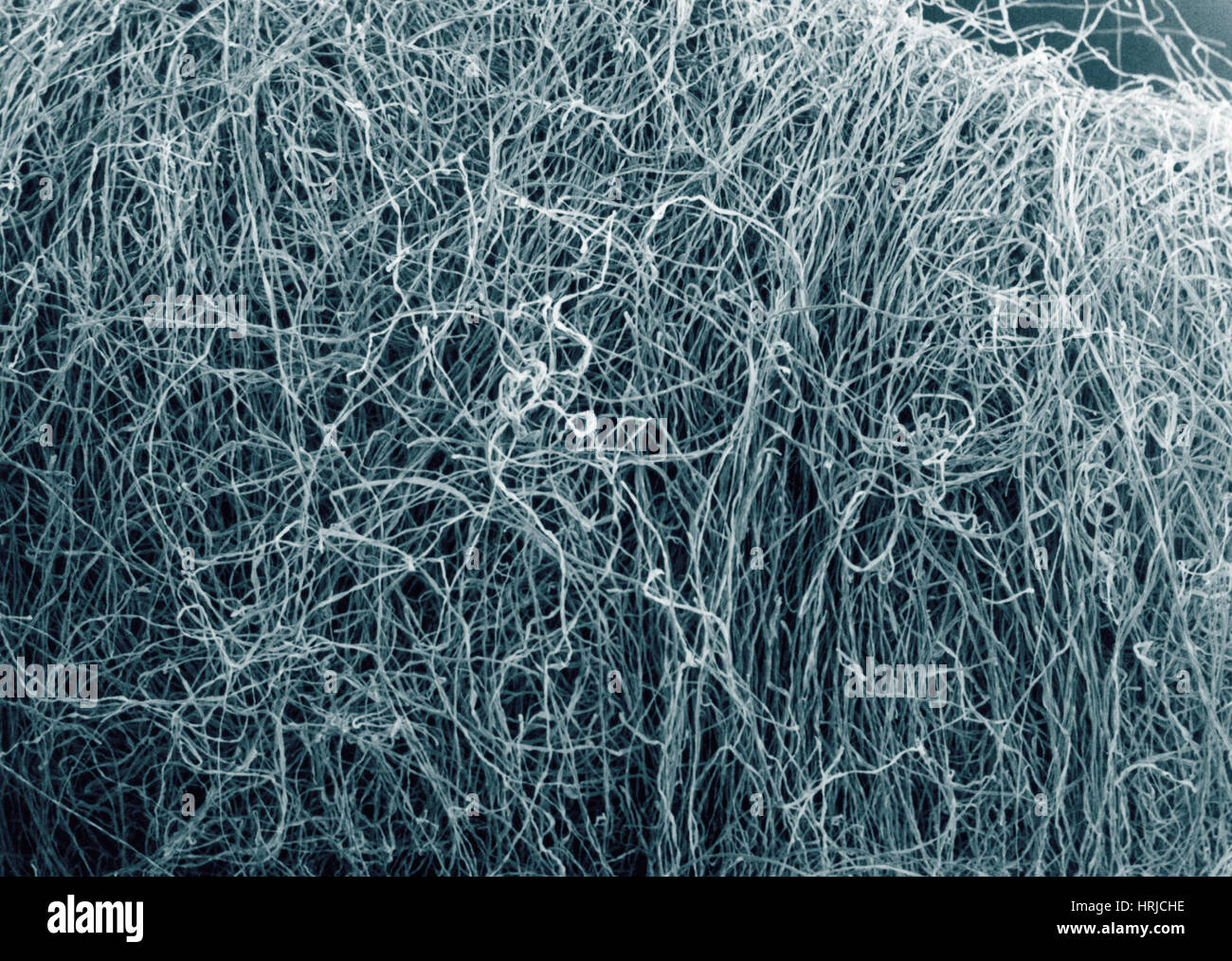 Cotton Swab, SEM Stock Photo - Alamy