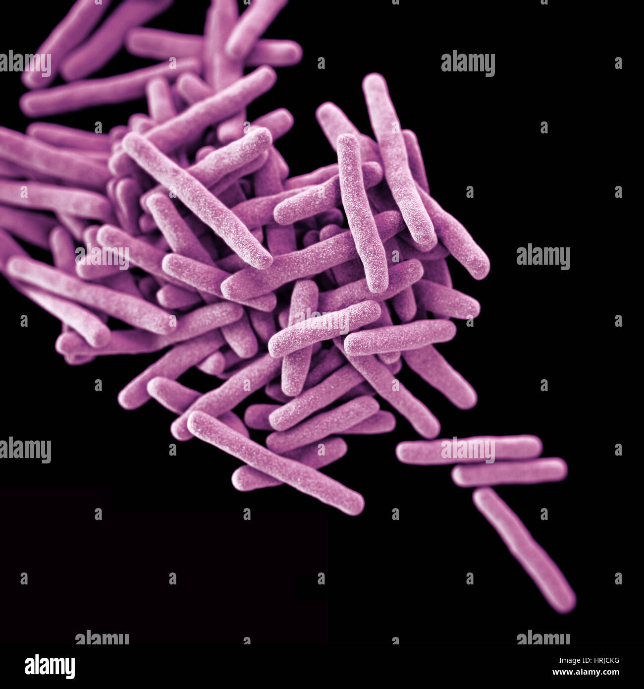 Tuberculosis pathogen hi-res stock photography and images - Alamy